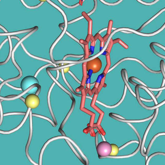 protein-cover | Weizmann France